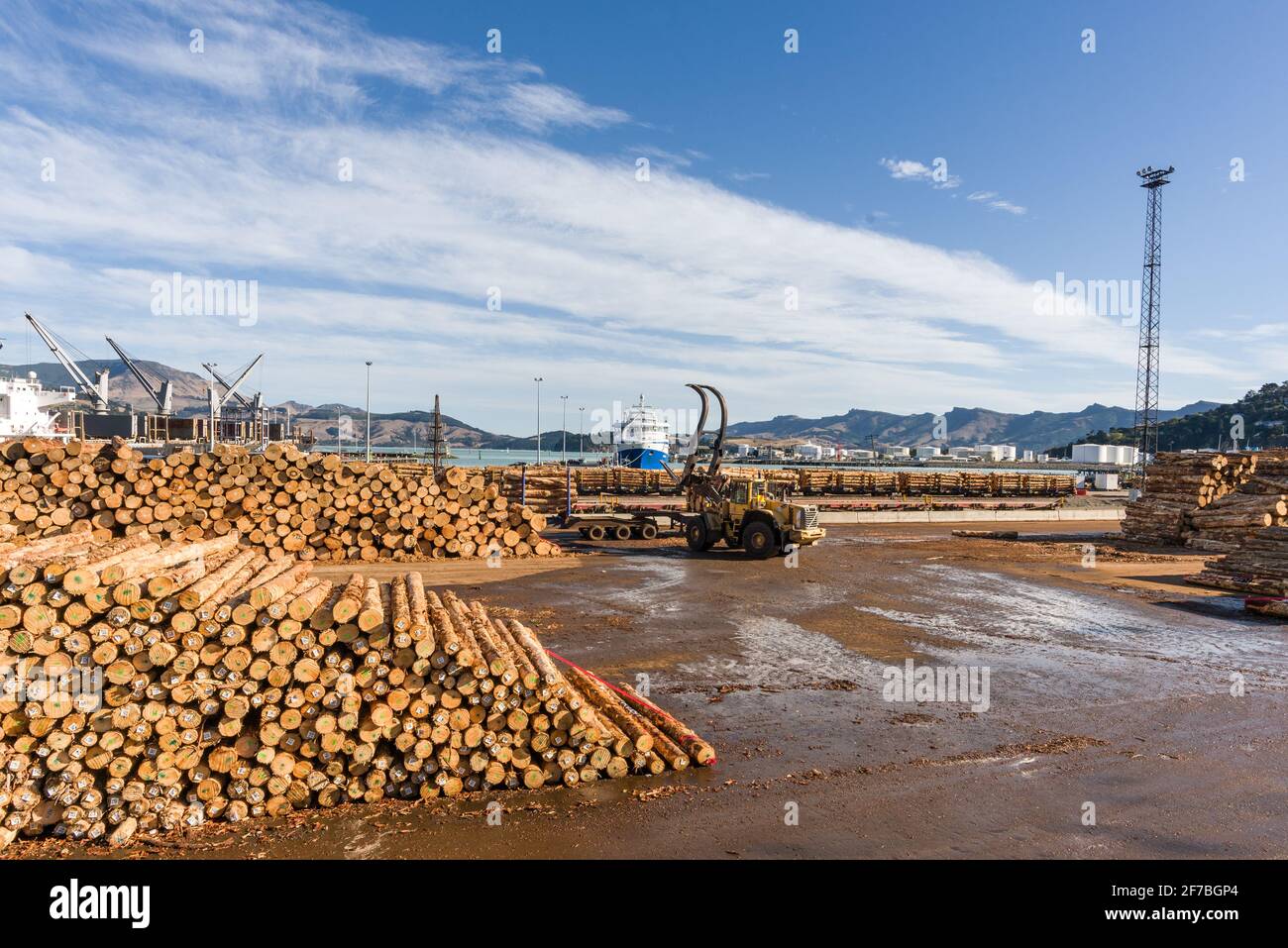 Logs at the Timber yard at the Port of Lyttelton New Zealand Stock ...