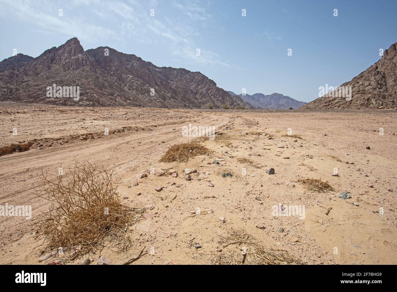 Arid barren land desert desolate empty hi-res stock photography and ...