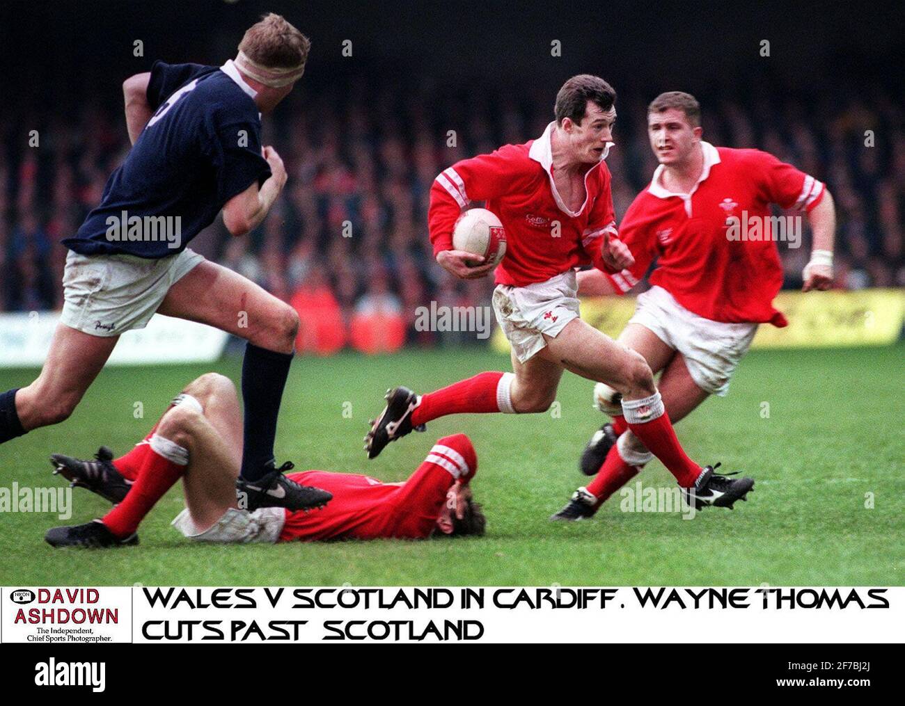 Wayne thomas hi-res stock photography and images - Alamy