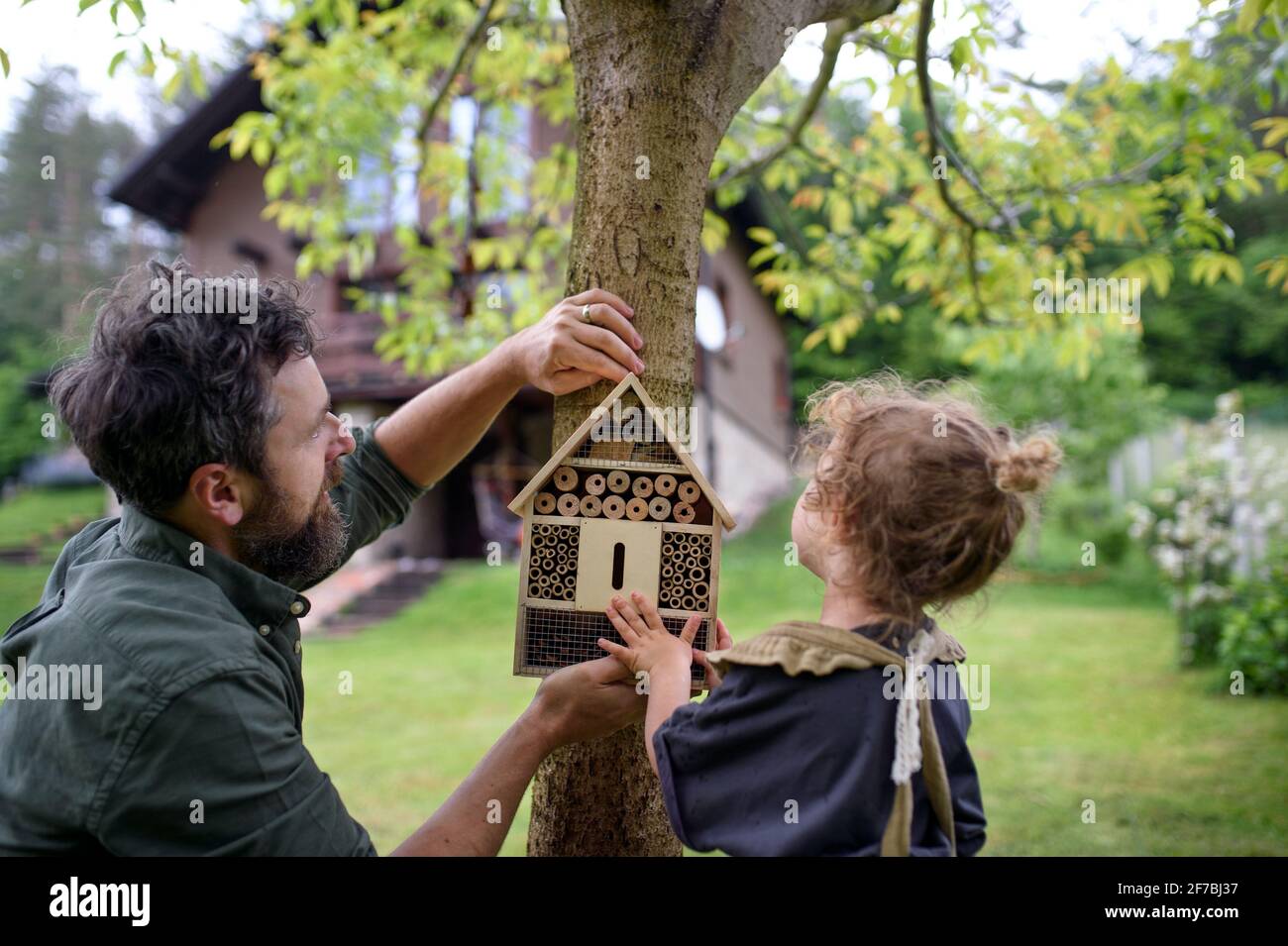 Small girl with father holding bug and insect hotel in garden ...