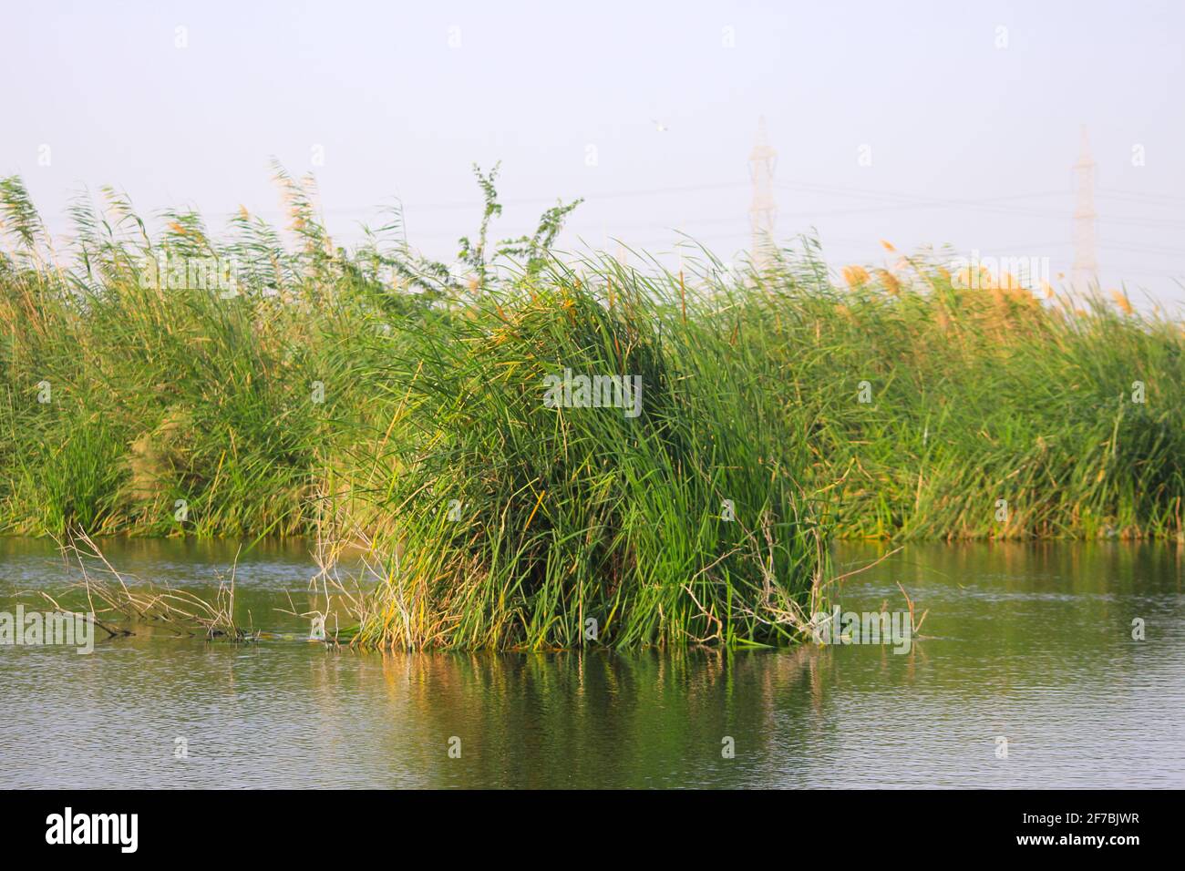 Taif valley in saudi arabia hi-res stock photography and images - Alamy