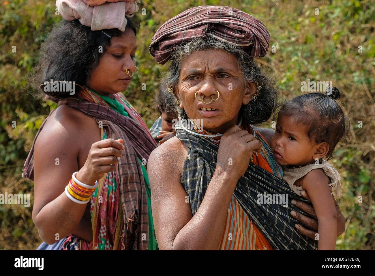 Chatikona, India - February 2021: Adivasi women from the Dongria Kondh ...