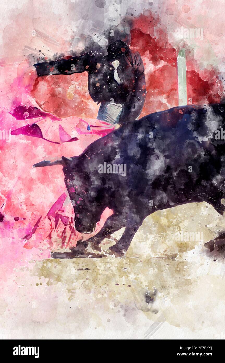 Watercolor of bullfight in spain, fight of a bull with man, traditional ...