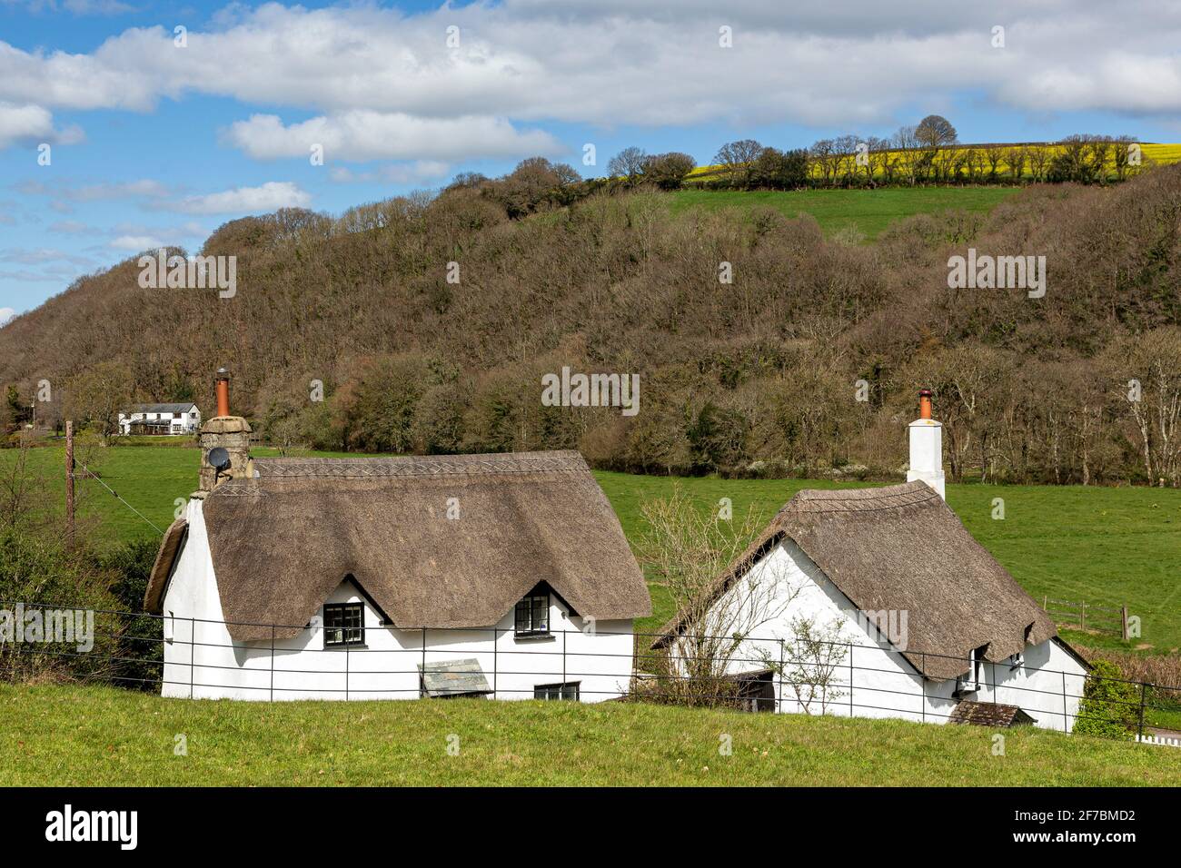 Devon Cottage, Devon, England, Thatched Roof, Flowerbed, House ...