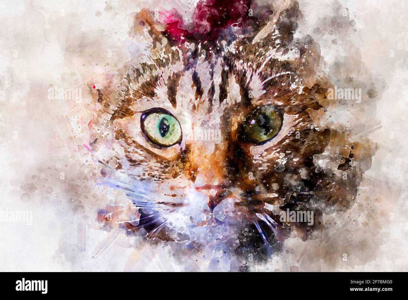 young common cat with soft skin Stock Photo - Alamy