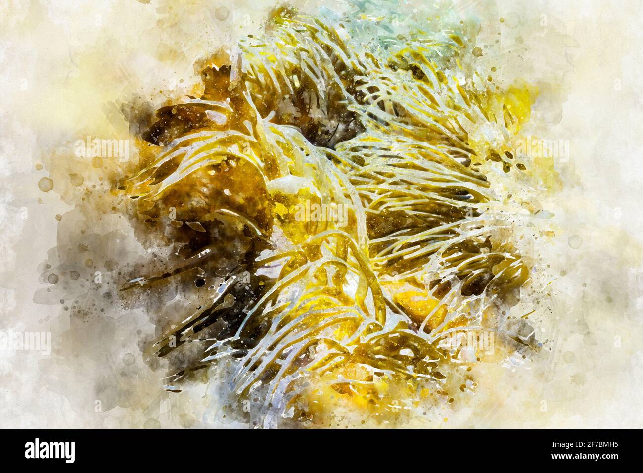 watercolor, exotic, seabed with fish and coral reef Stock Photo - Alamy