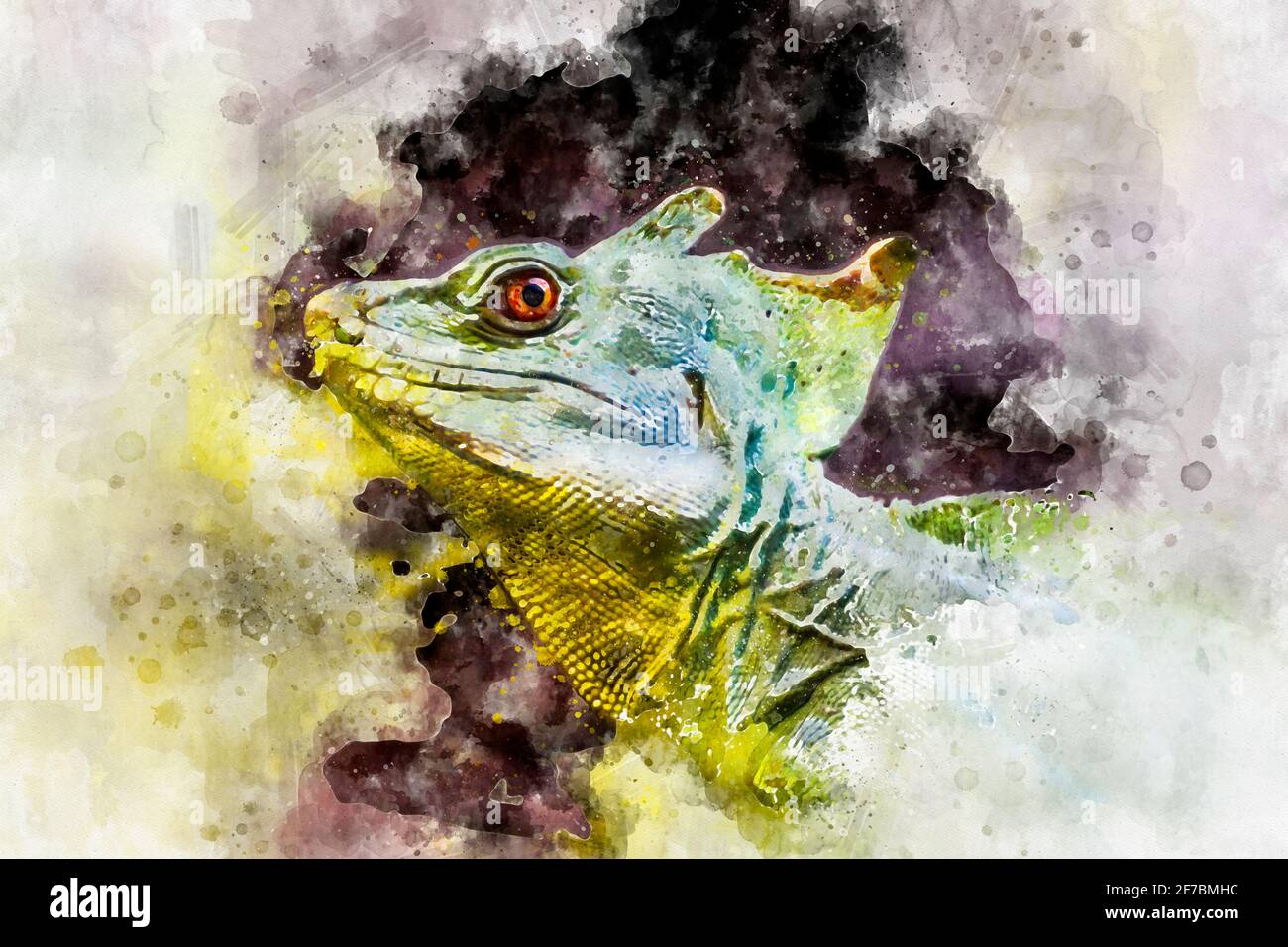 watercolor, scaly lizard skin resting in the sun Stock Photo - Alamy