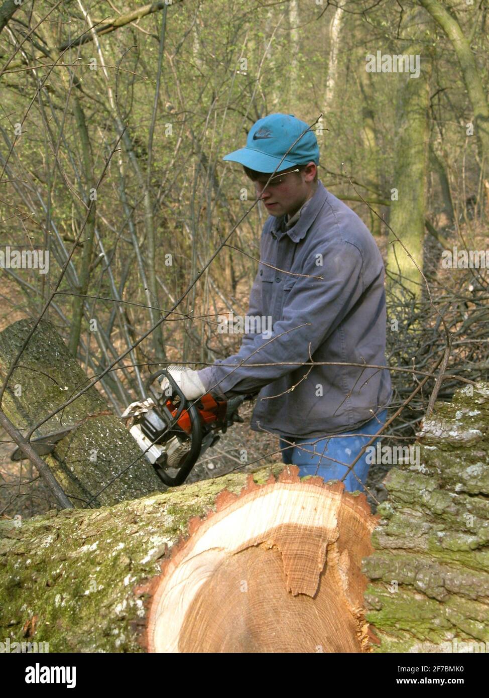 Lumberjack hi-res stock photography and images - Alamy