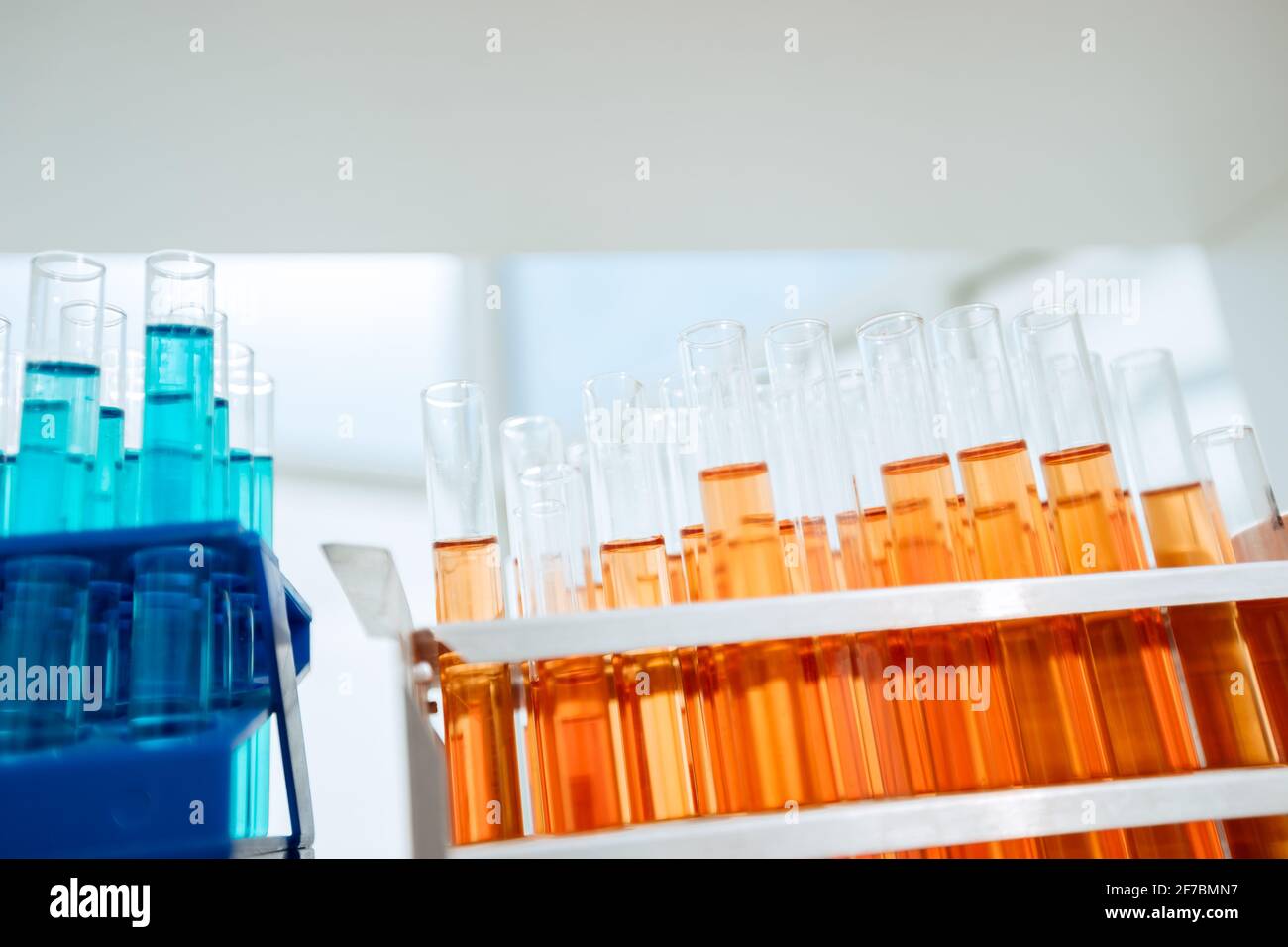 container with test tubes on the table in the laboratory Stock Photo ...