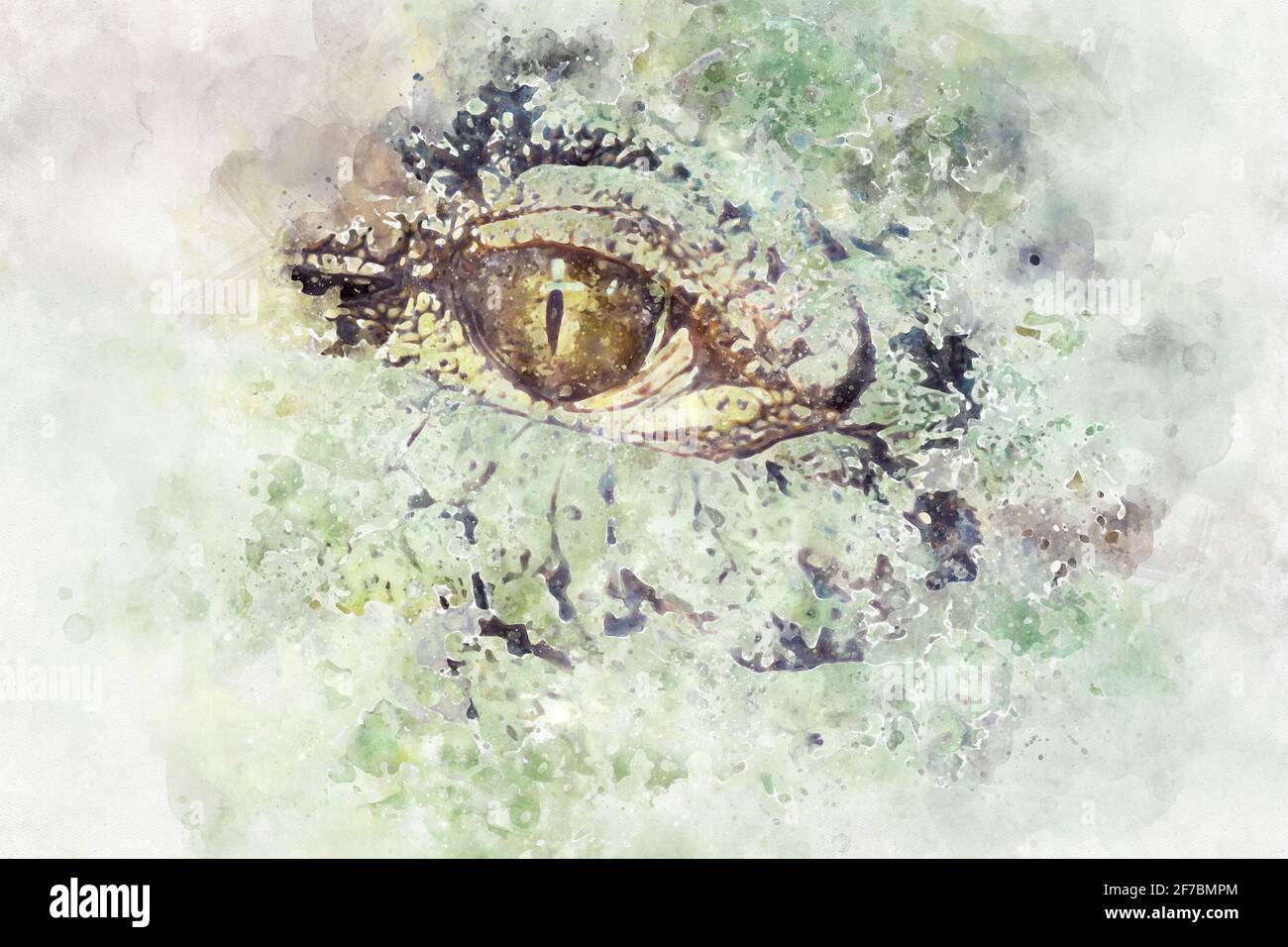 Watercolor, dangerous alligator eye detail Stock Photo - Alamy