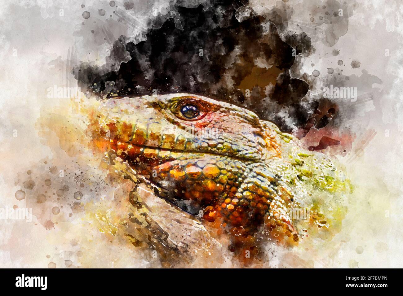 watercolor, reptile, scaly lizard skin resting in the sun Stock Photo ...