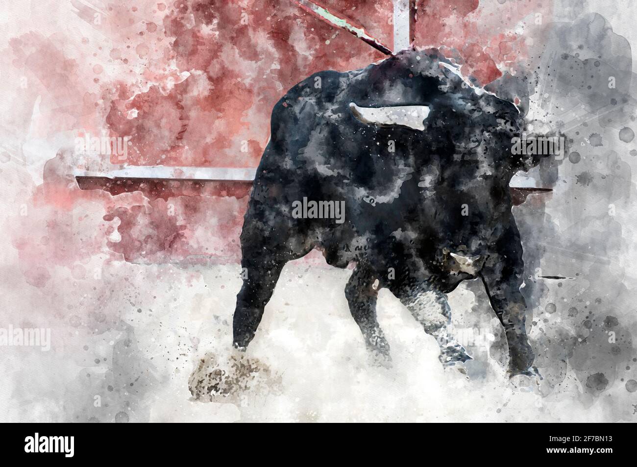 watercolor paint, Bullfight. Fighting bull picture from Spain. Black ...