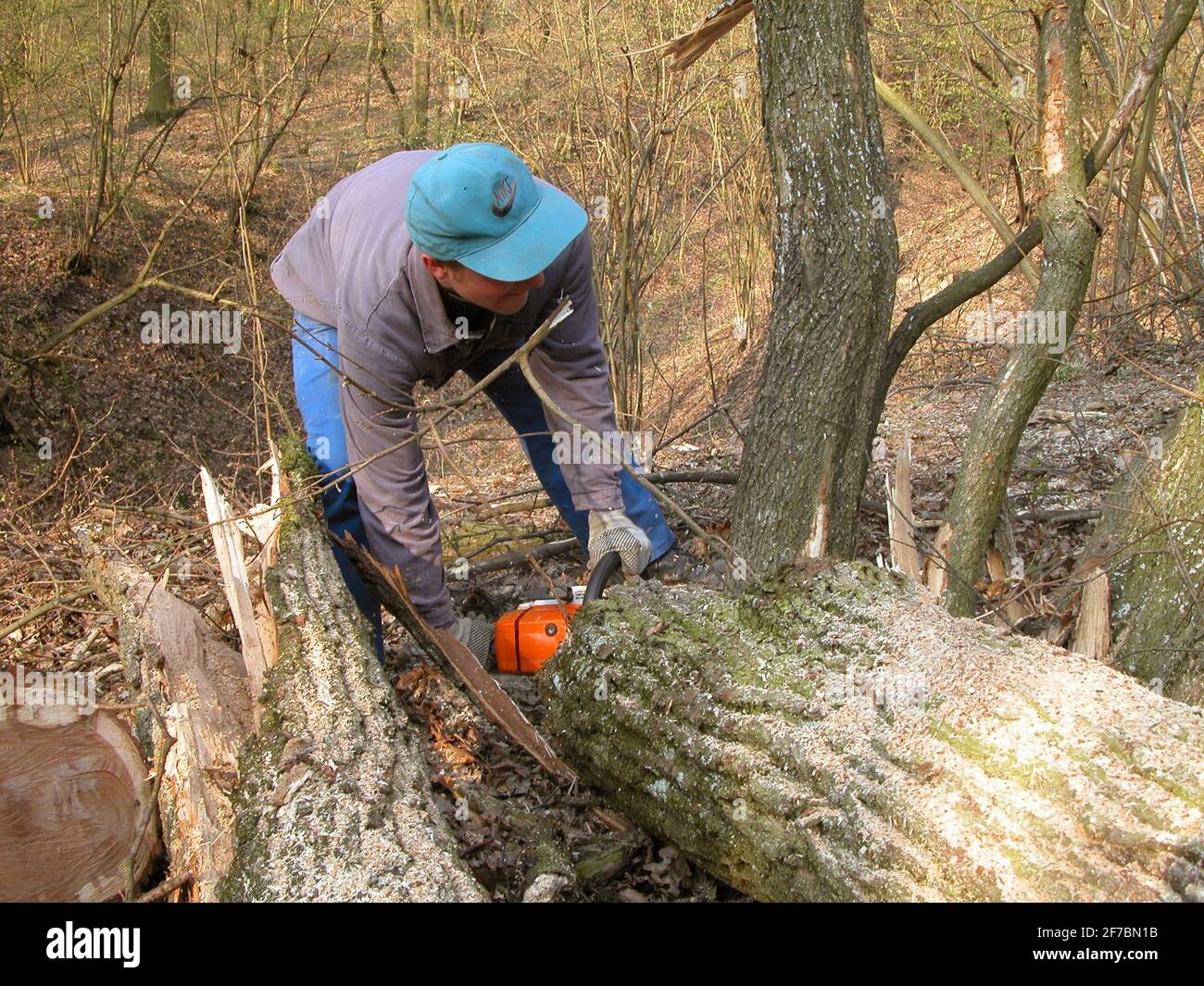 Lumberjack hi-res stock photography and images - Alamy