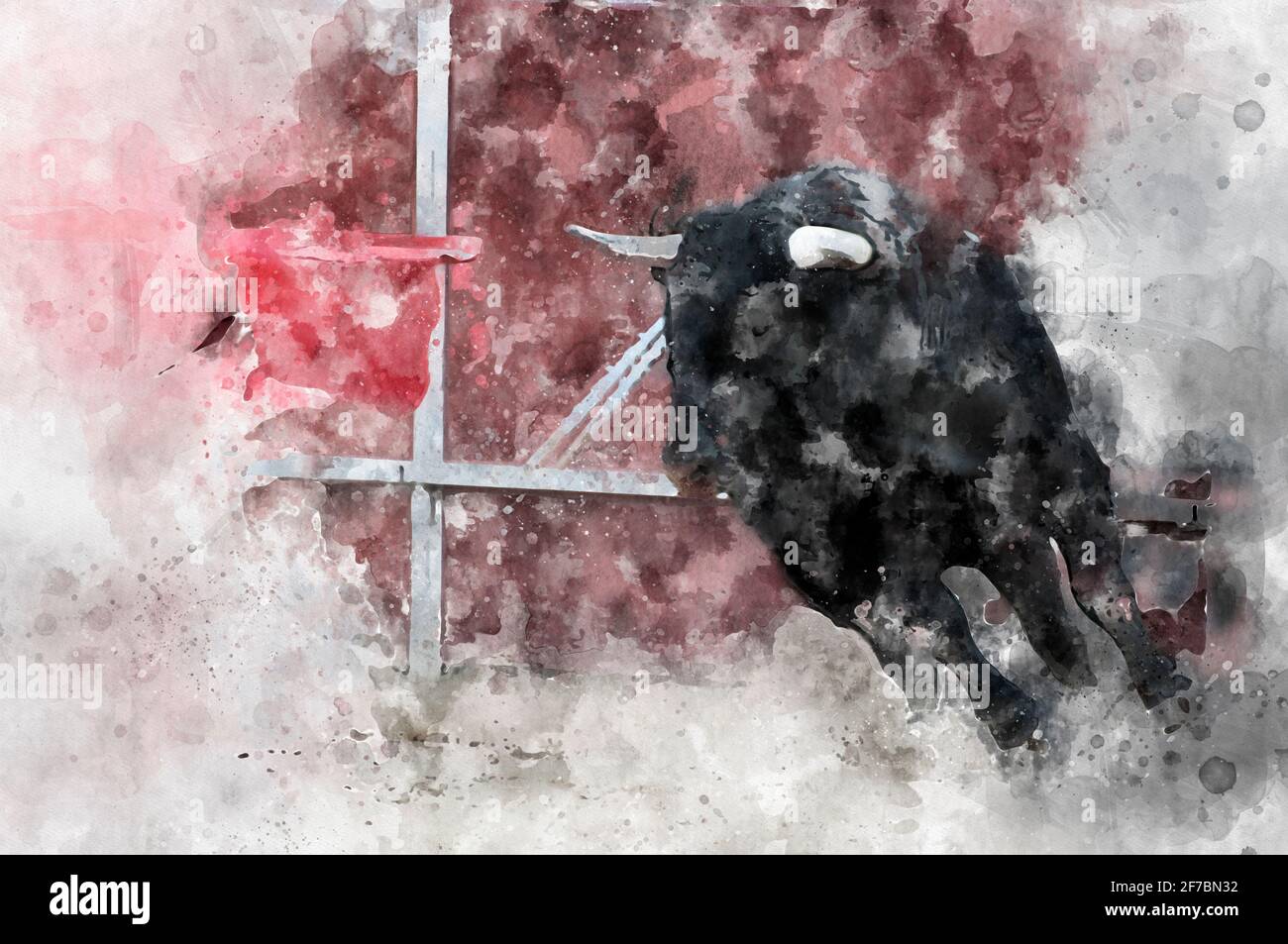 watercolor, Bullfight. Fighting bull picture from Spain. Black bull ...