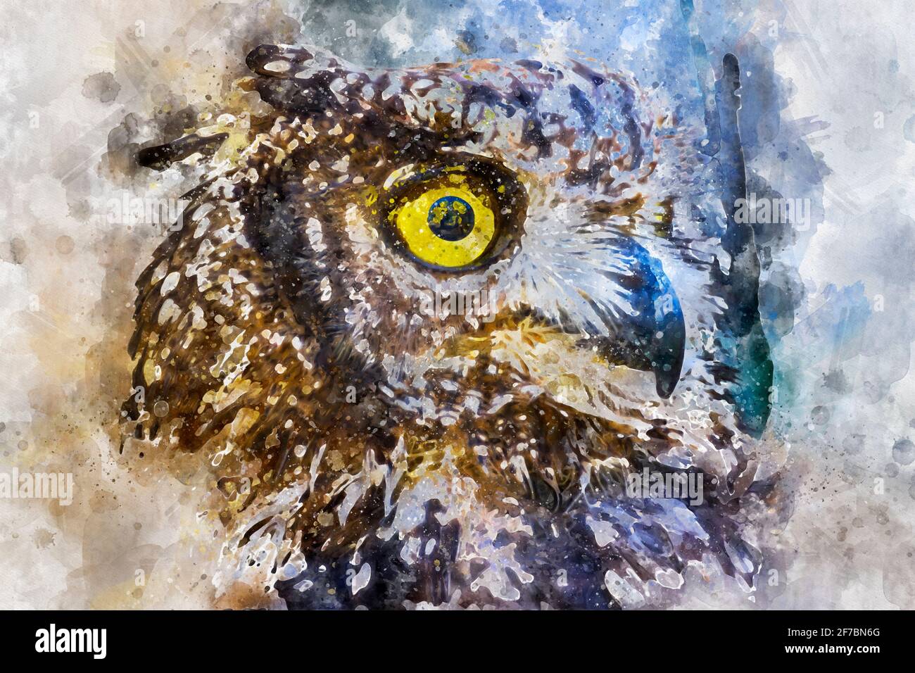 watercolor, raptor, beautiful owl with intense eyes and beautiful ...