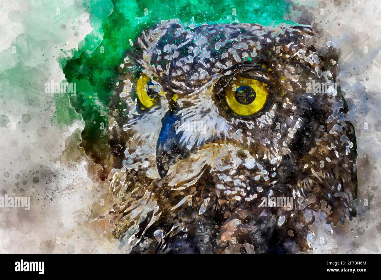 watercolor, beautiful owl with intense eyes and beautiful plumage Stock ...