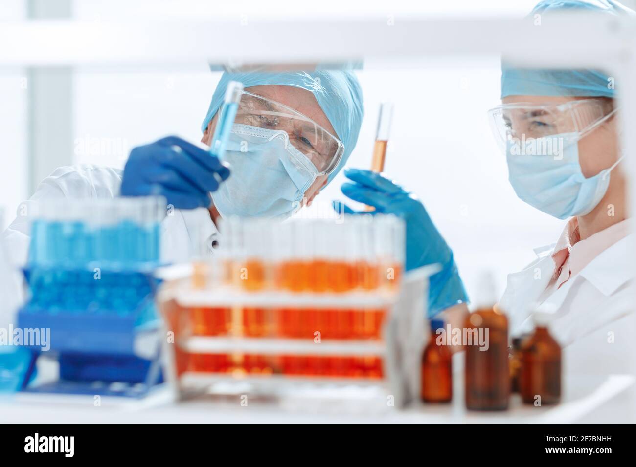 close up. biologists conduct blood tests in the laboratory Stock Photo ...