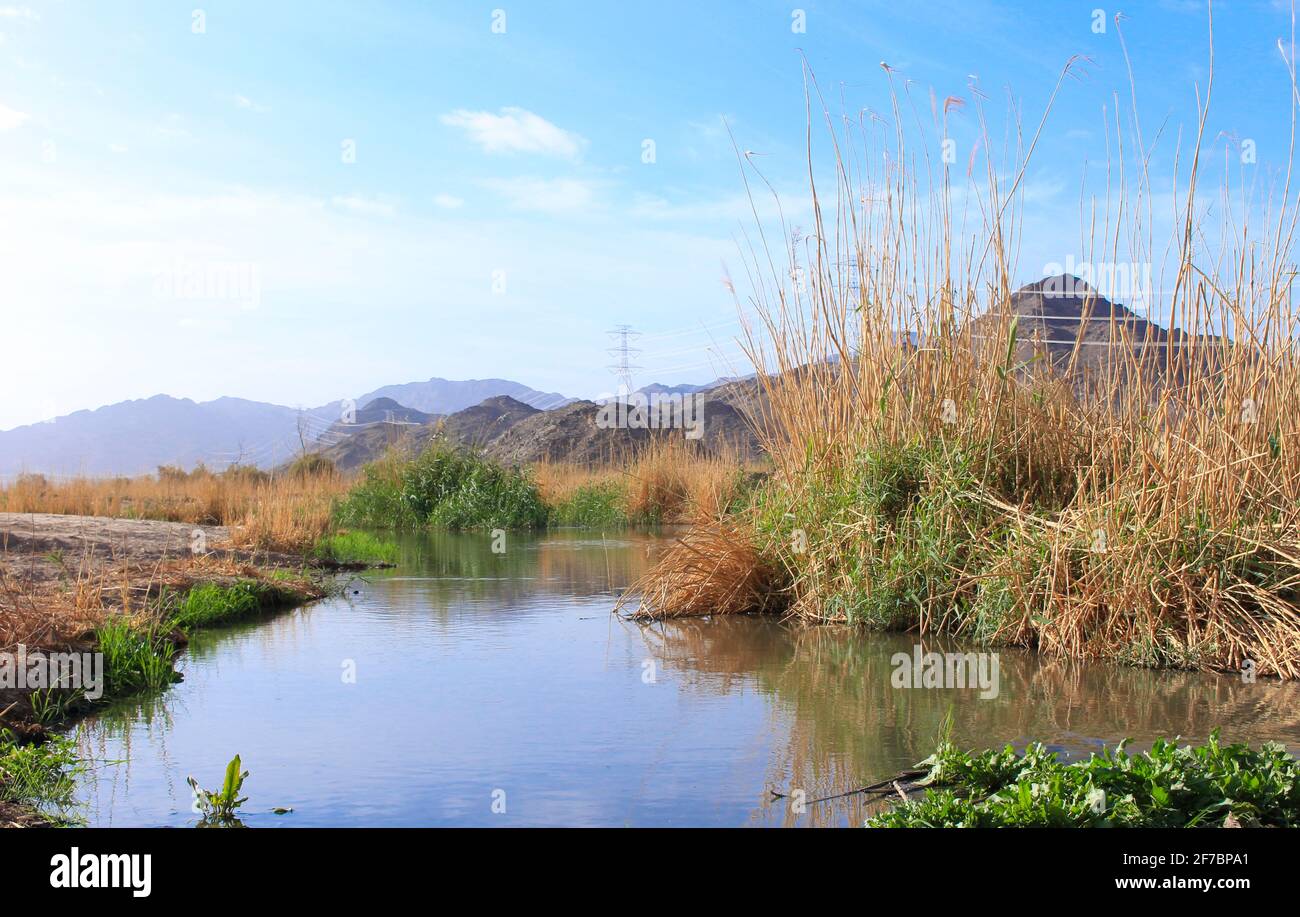 Dry lake arabia hi-res stock photography and images - Alamy