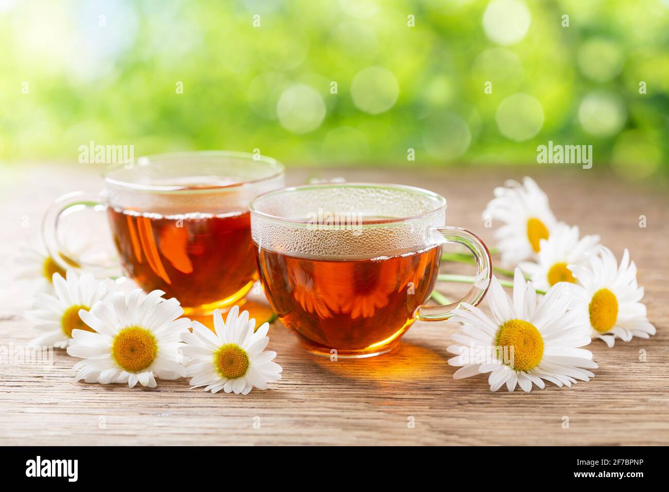 cups of herbal chamomile tea with fresh chamomile flowers on a wooden ...