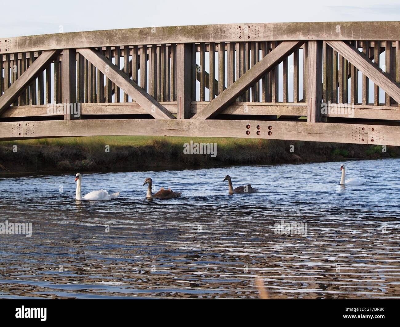2017 2021 year hi-res stock photography and images - Alamy