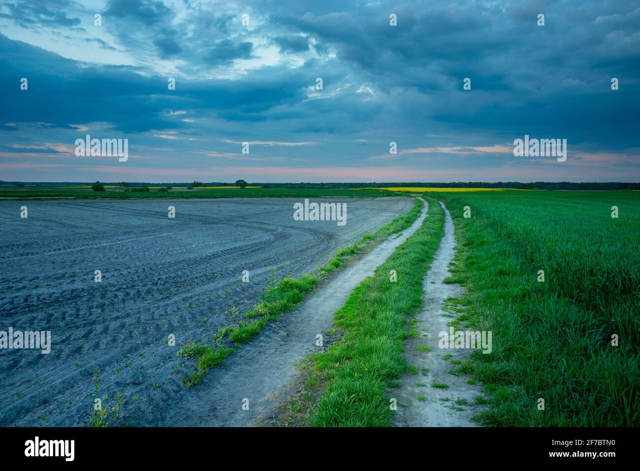Rural landscape poland hi-res stock photography and images - Alamy