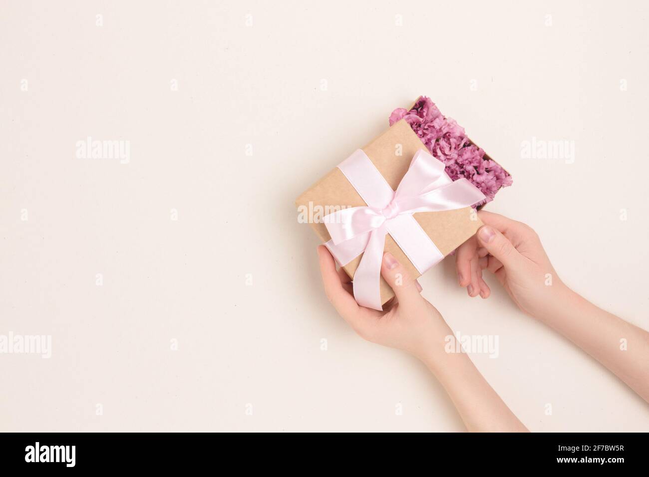 Female hands open a gift box with a tied bow with eustoma flowers ...