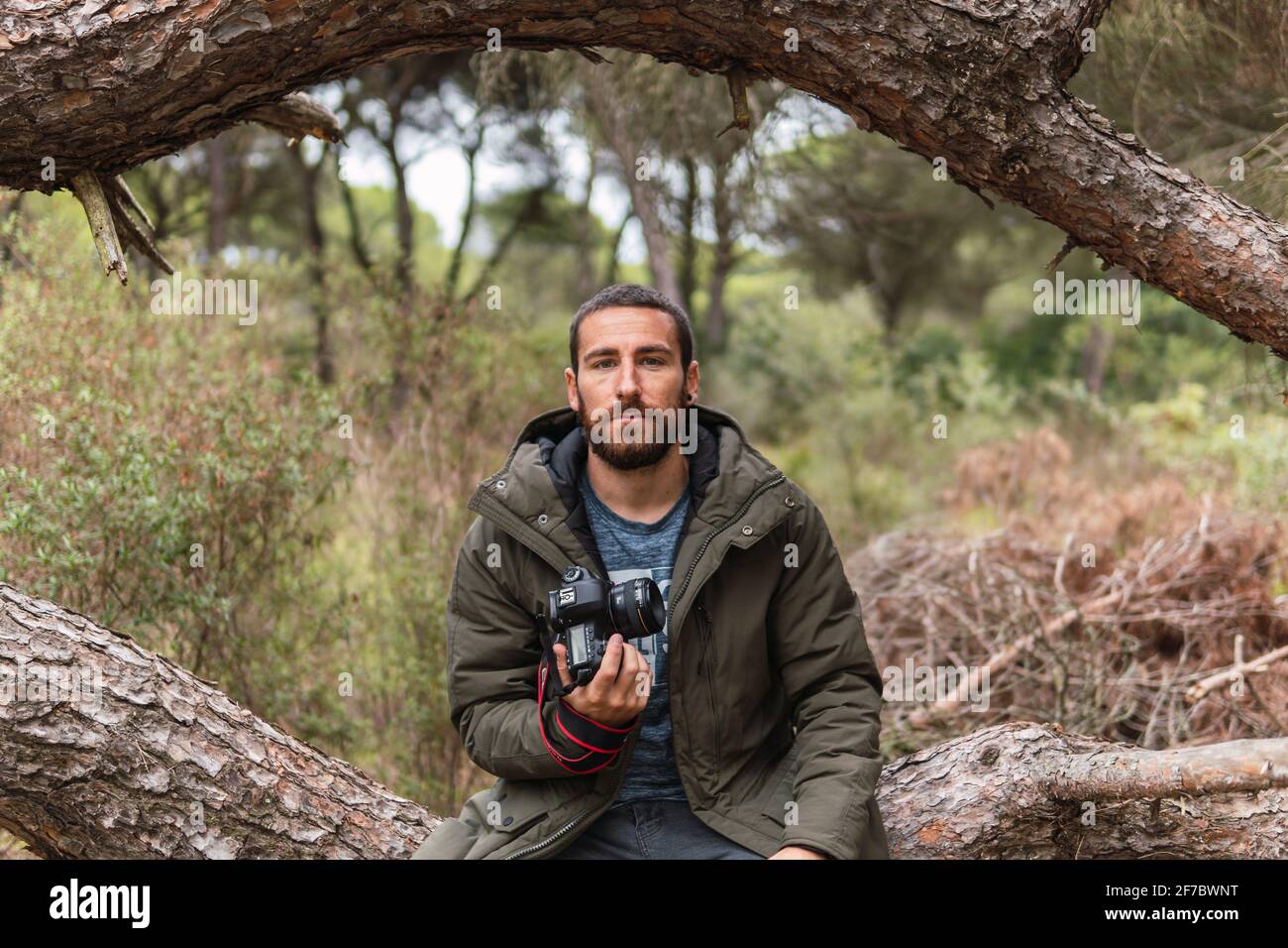 Professional photographer sitting in a tree with his camera in his hand ...