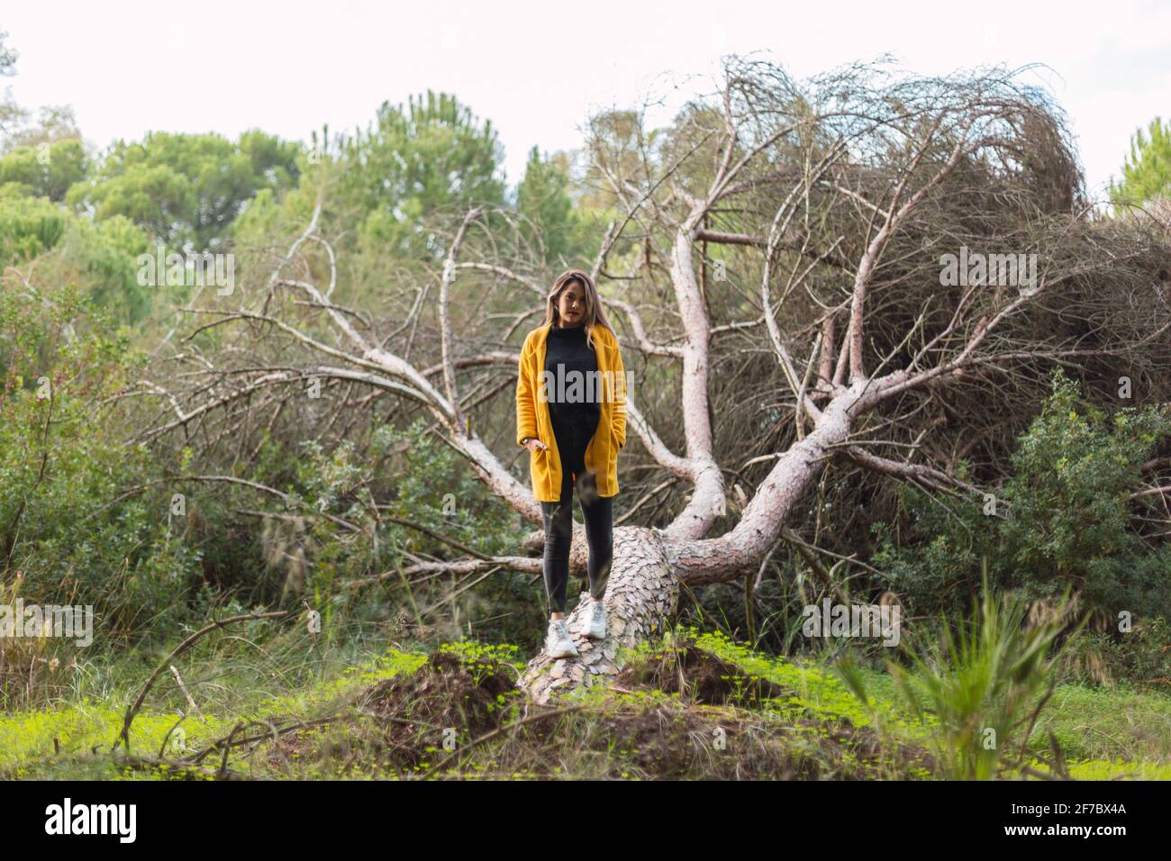 Beautiful woman leaning against a tree wearing a yellow coat and a ...