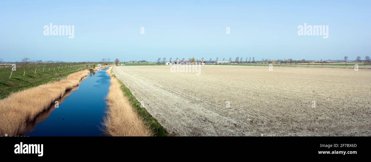 fields and canal in countryside of zeeland in the netherlands Stock ...