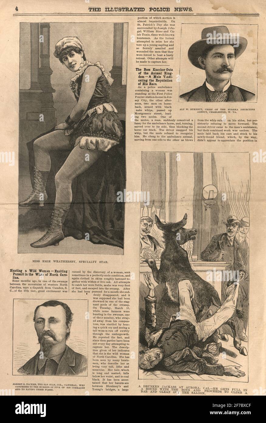 Old newspaper page, Wild West, burlesque girl, sheriff, outlaw, drunken ...