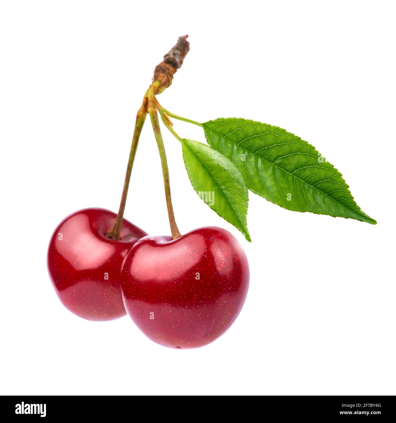 sweet cherry fruits isolated on white background Stock Photo - Alamy