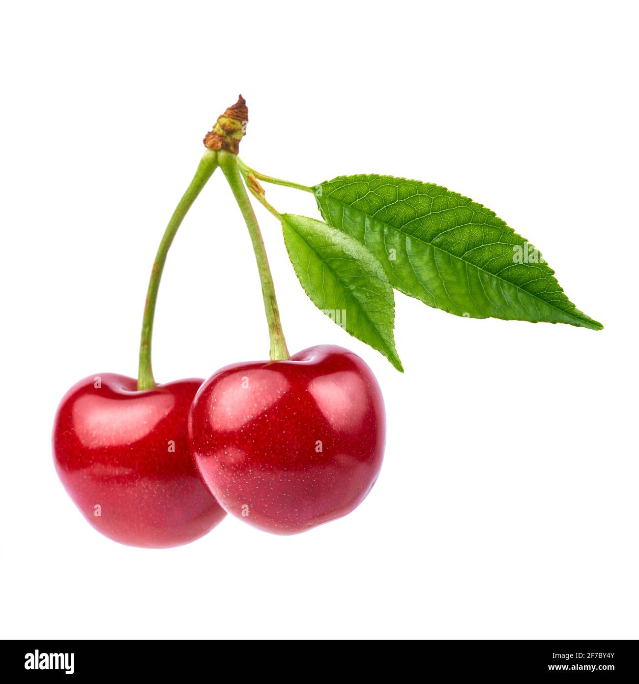 sweet cherry fruits isolated on white background Stock Photo - Alamy