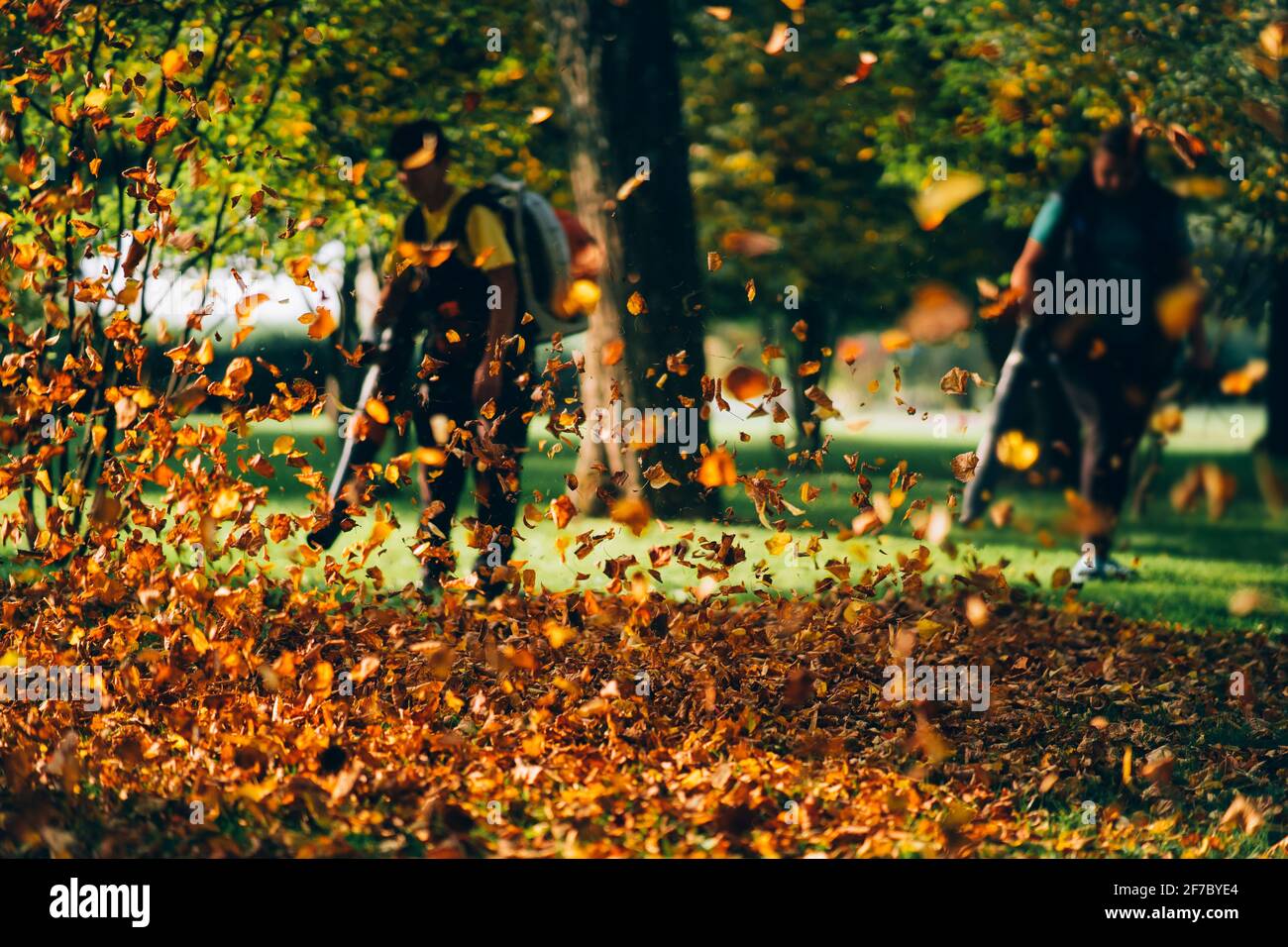 Woman leaf blower blowing leaves hi-res stock photography and images ...
