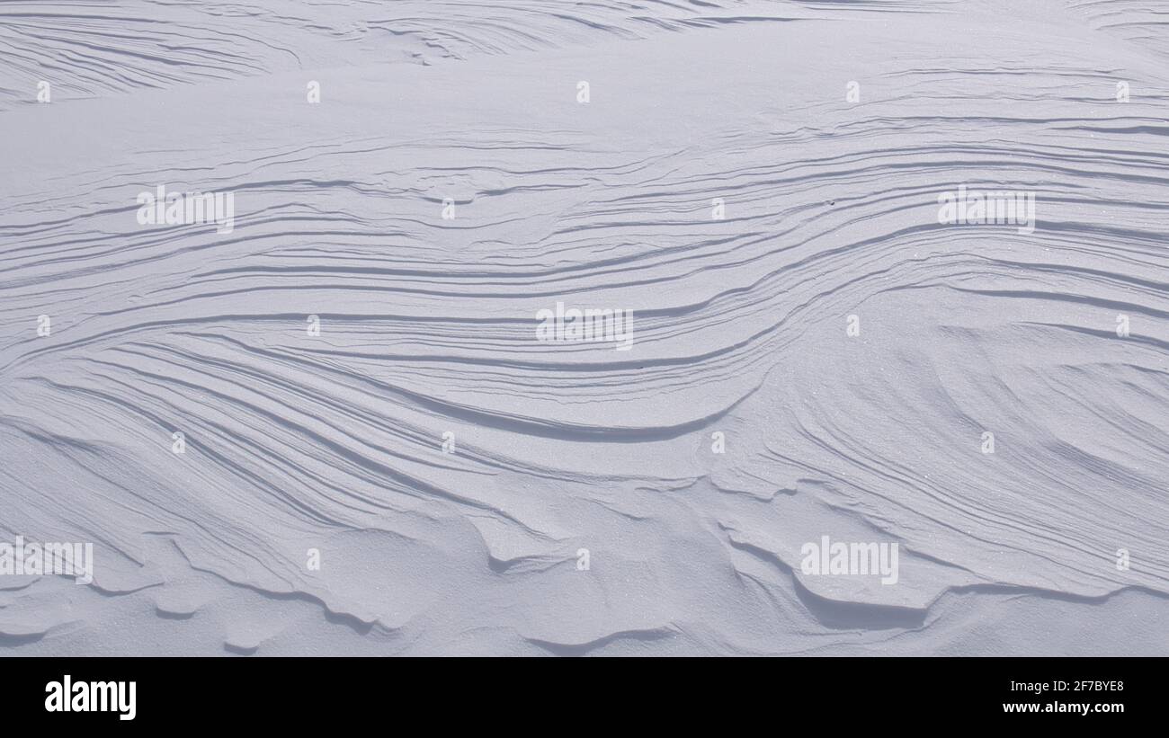 Natural wavy lines on surface of pure white snow Stock Photo - Alamy