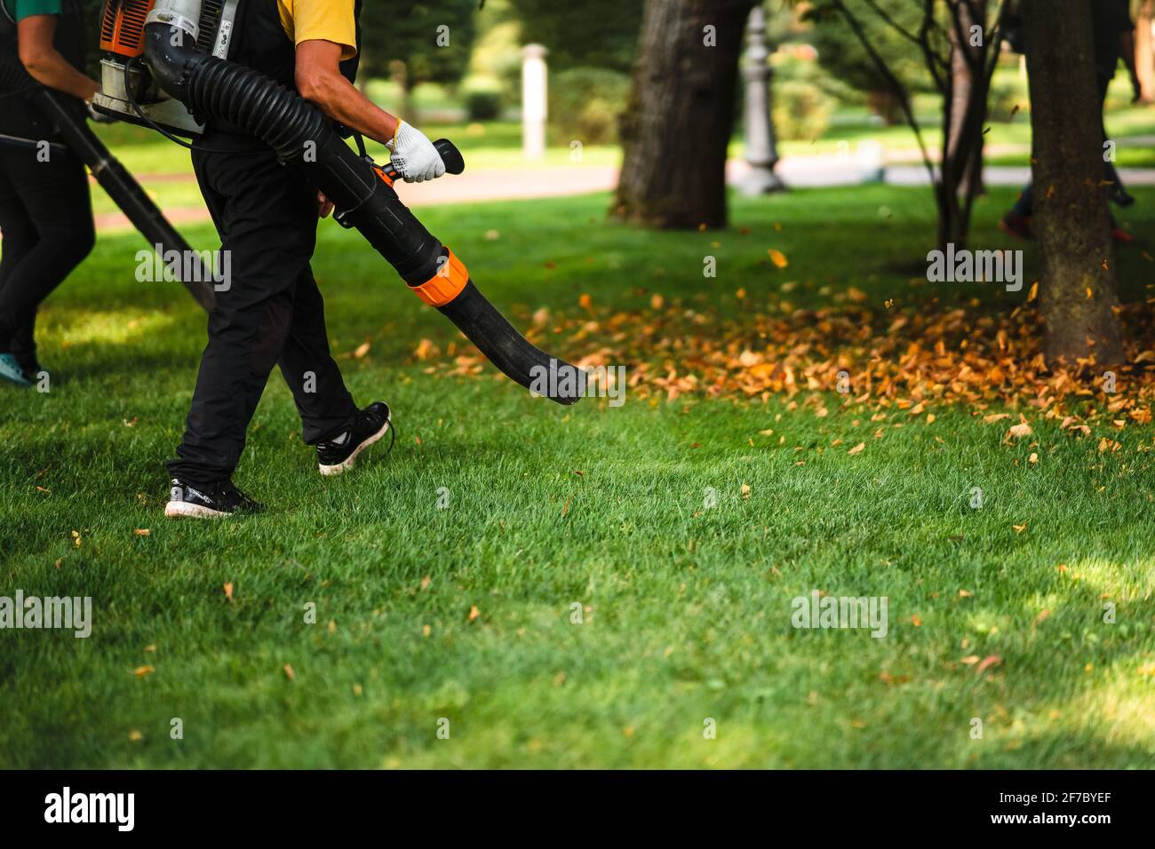 Woman blowing leaves leaf blower hi-res stock photography and images ...