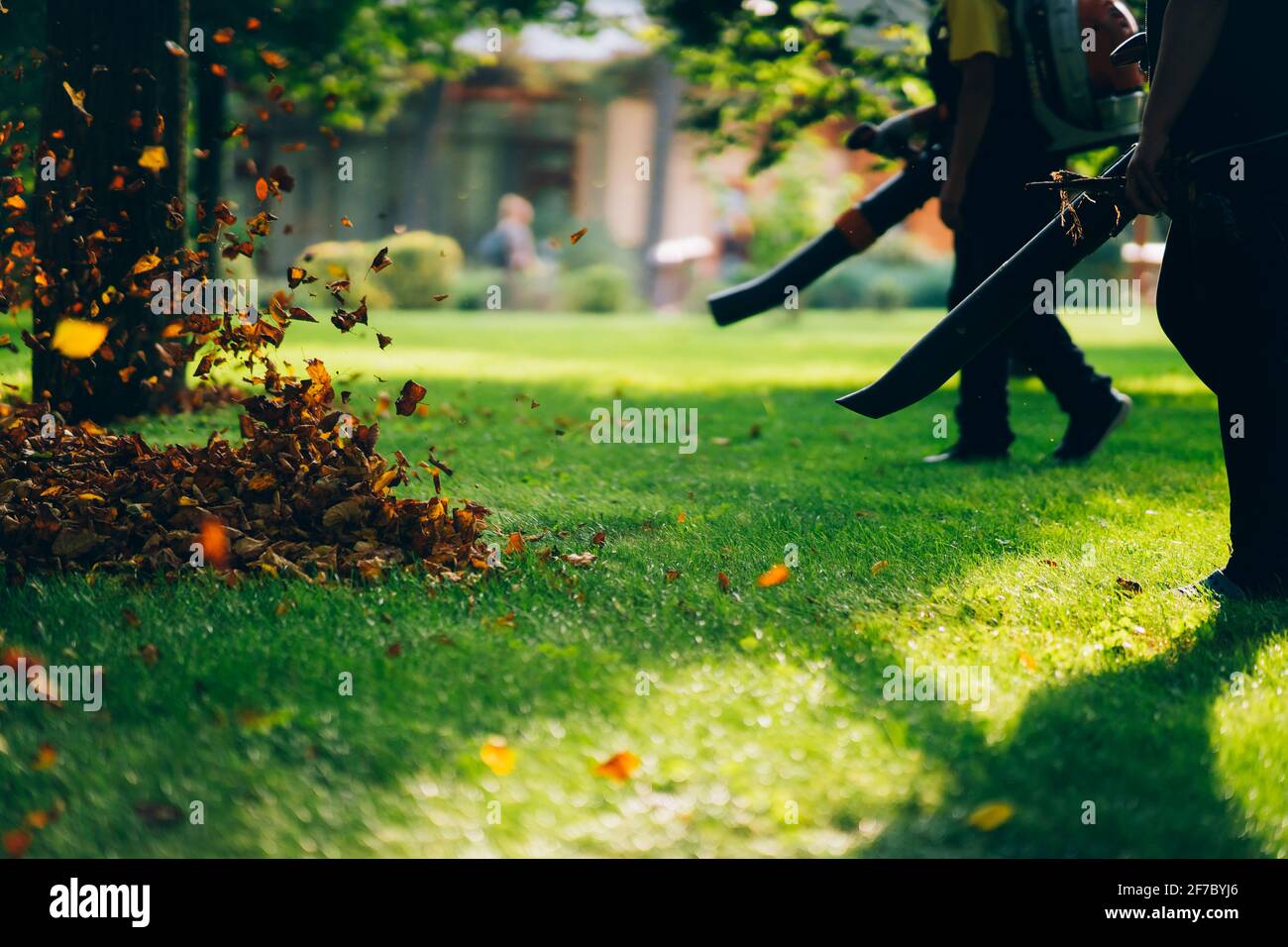 Woman leaf blower blowing leaves hi-res stock photography and images ...