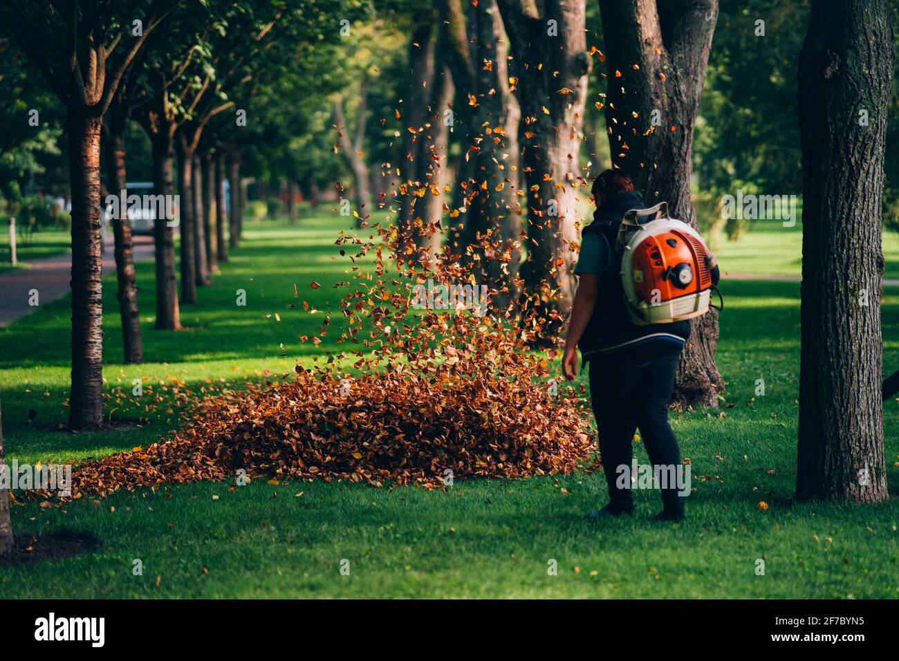 A woman operating a heavy duty leaf blower Stock Photo - Alamy