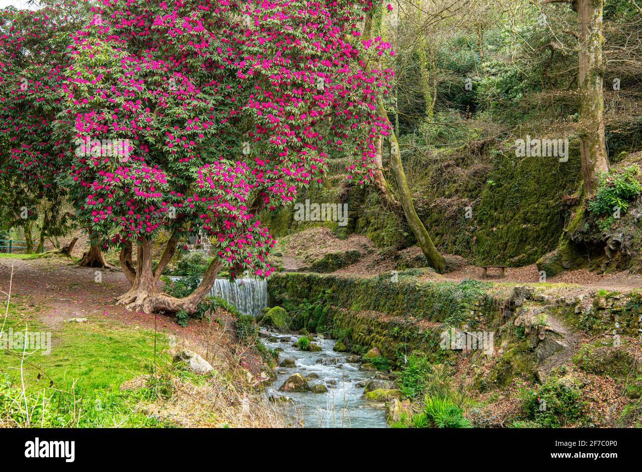 gorgeous waterfall is right next to a holy well from the 15th century ...