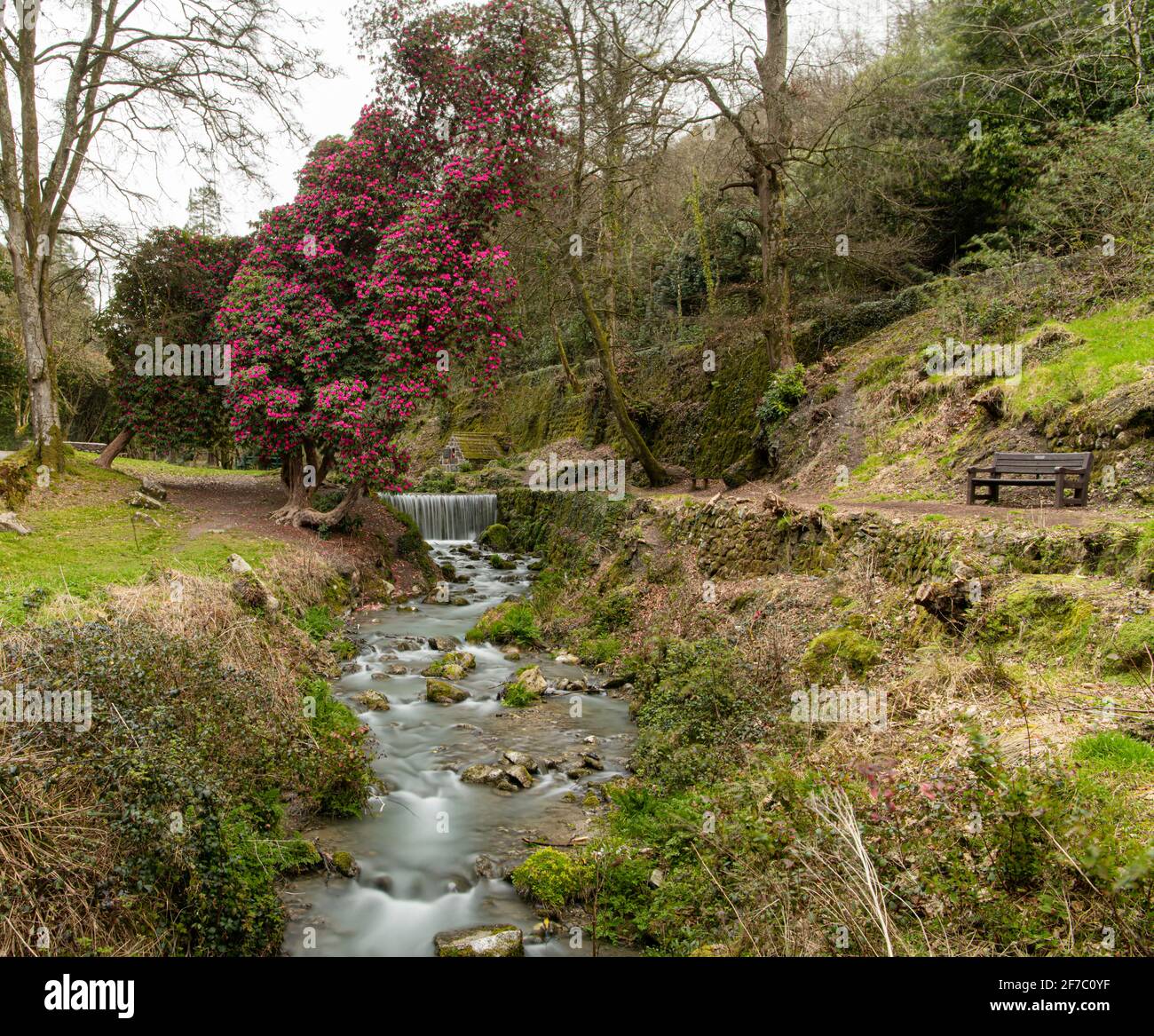 Menacuddle well st austell hi-res stock photography and images - Alamy