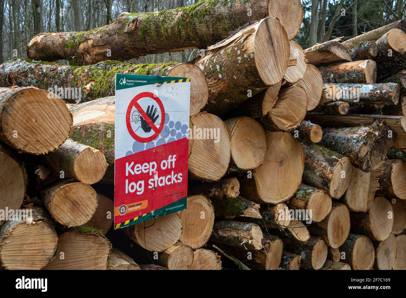 'Keep Off Log Stacks' sign in a forest after trees have been cut down ...