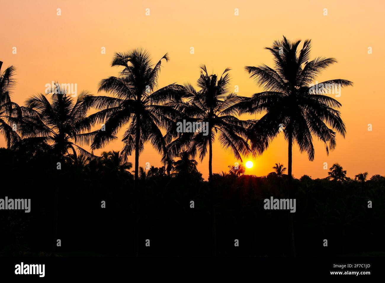 sunset silhouette photos Stock Photo - Alamy