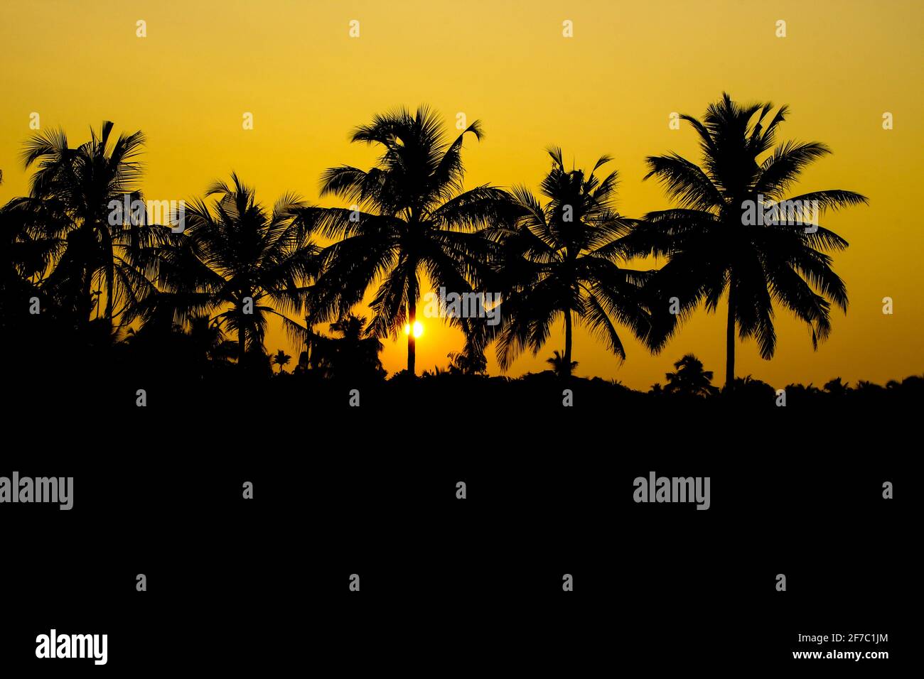 sunset silhouette photos Stock Photo - Alamy