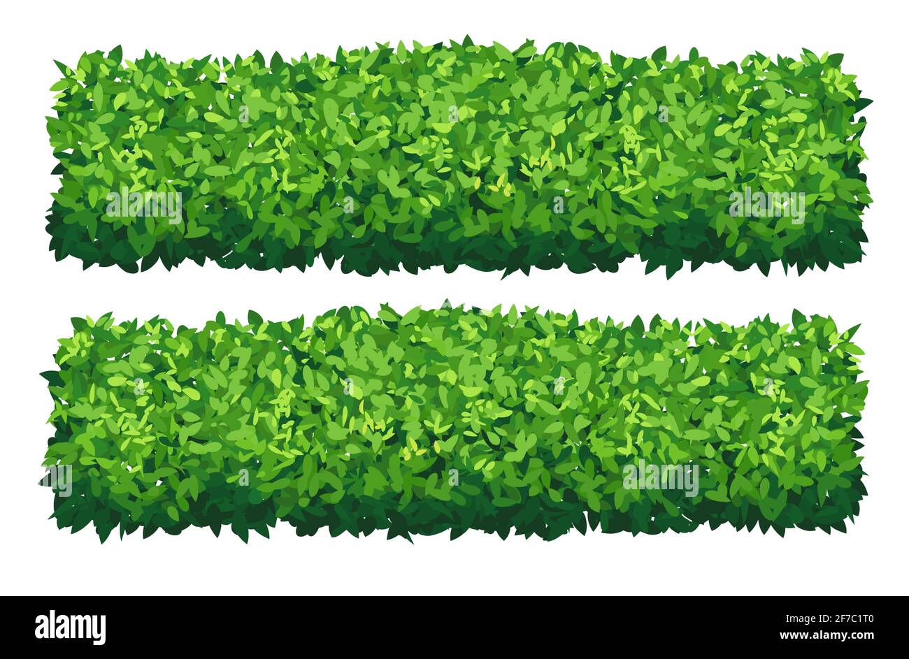 Vector garden bush isolated shrub hedge. Green bush cartoon grass ...
