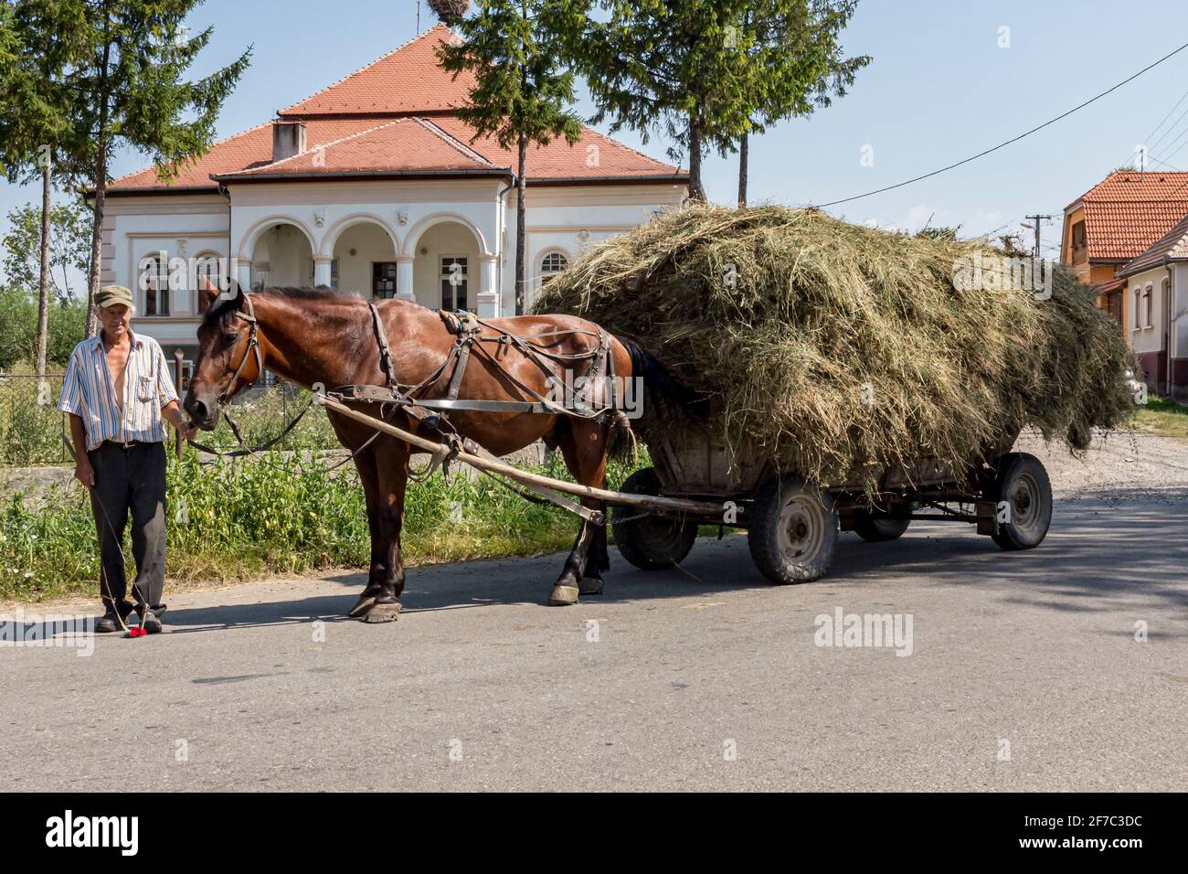 A man with his horse-drawn cart laden with hay, in rural Transylvania ...