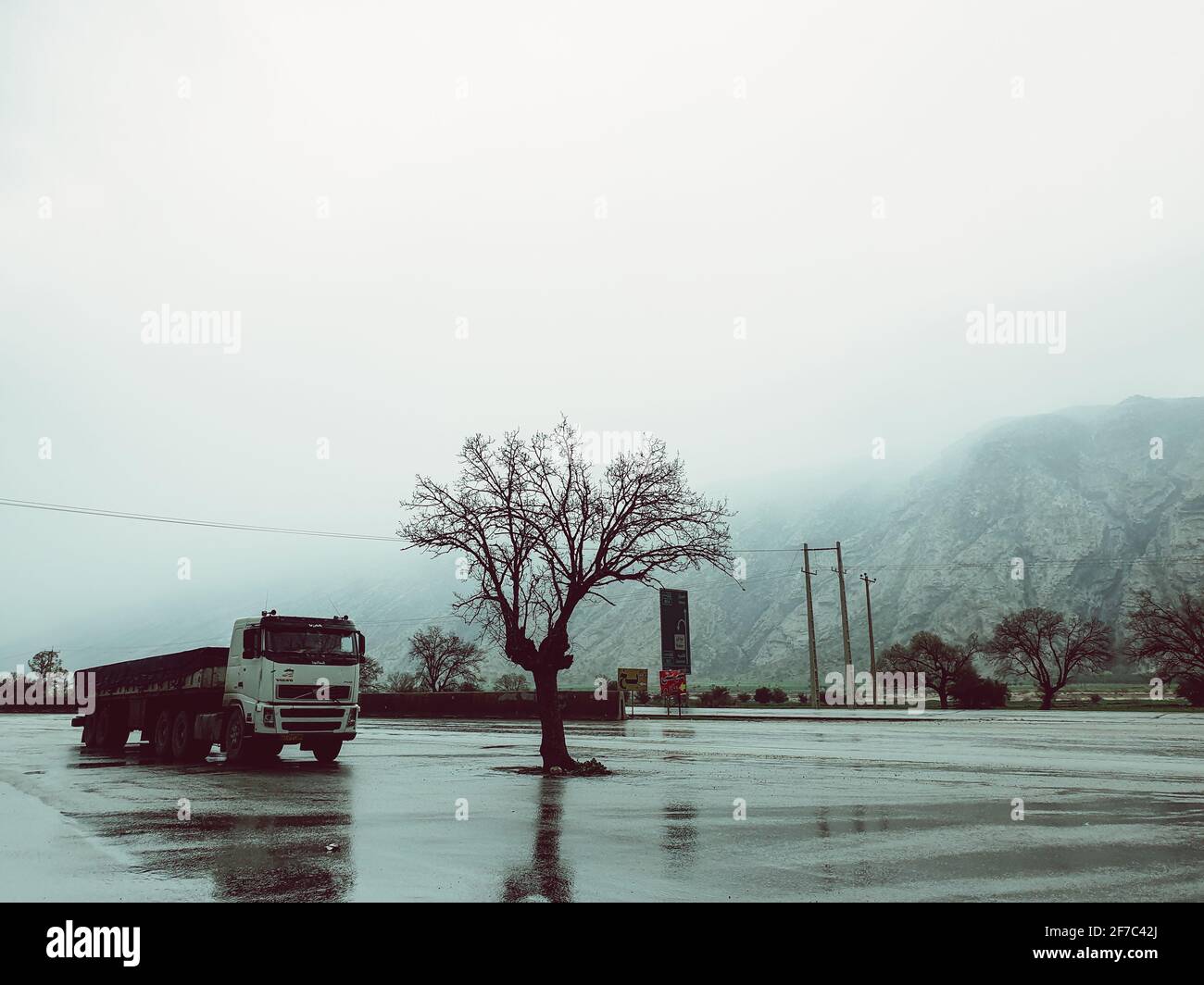 shiraz, iran - april 26, 2019: landscape photo of high tree with ...
