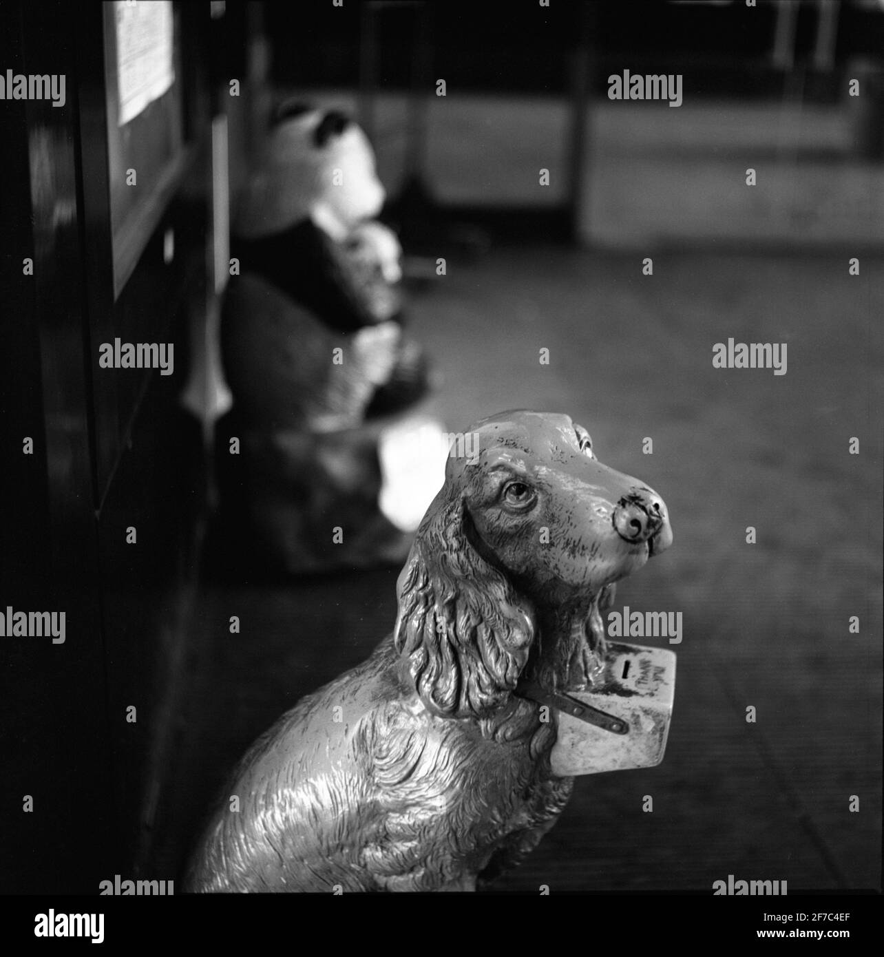 Animals train station Black and White Stock Photos & Images - Alamy