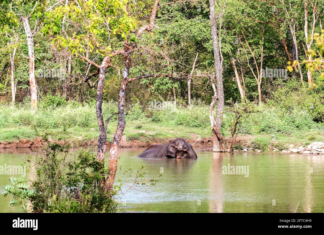 Female bathing at river family hi-res stock photography and images - Alamy