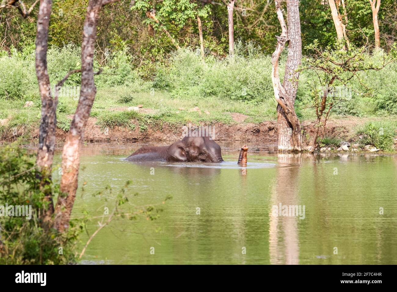 Female bathing at river family hi-res stock photography and images - Alamy