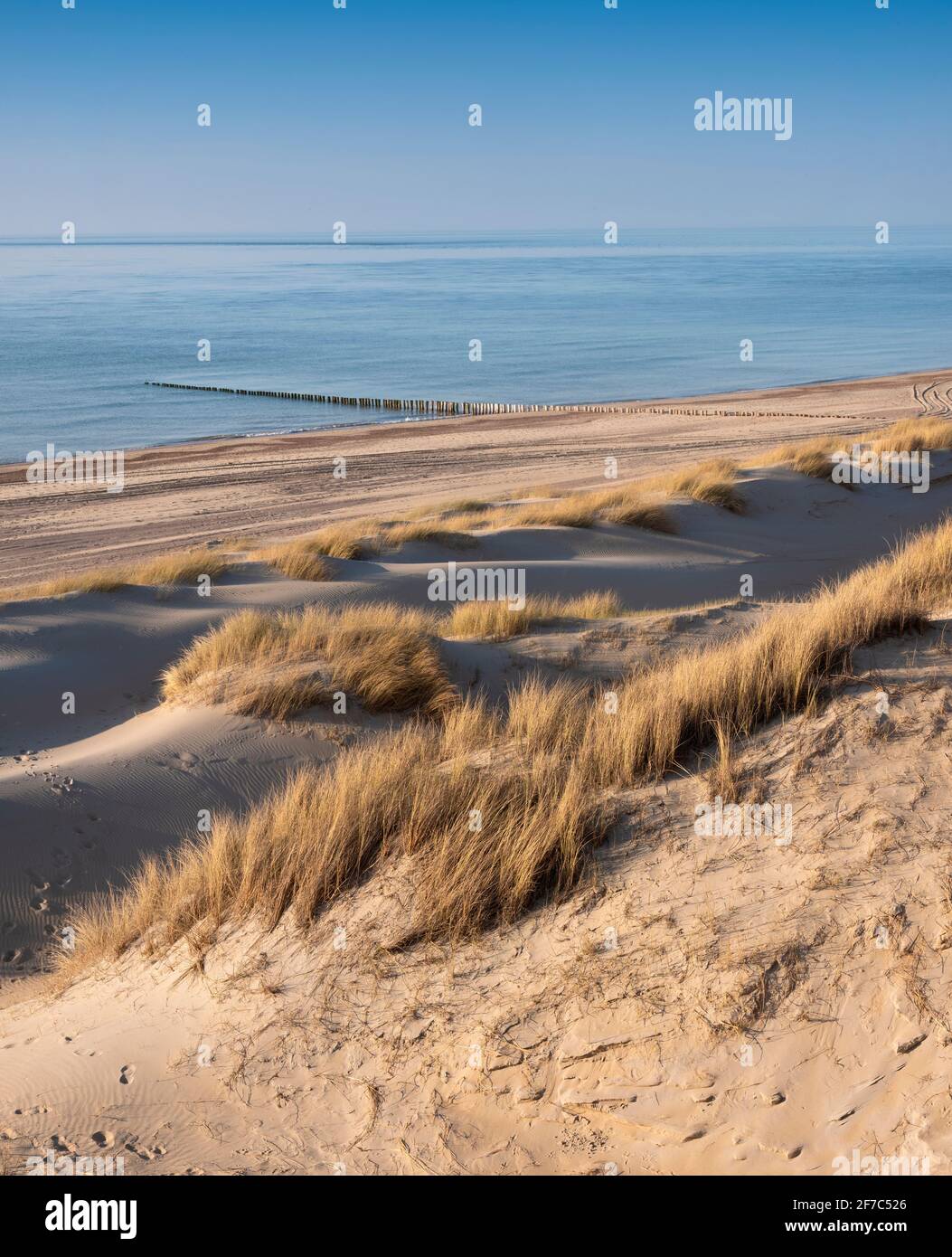 dunes and almost deserted beach on dutch coast near renesse in zeeland ...