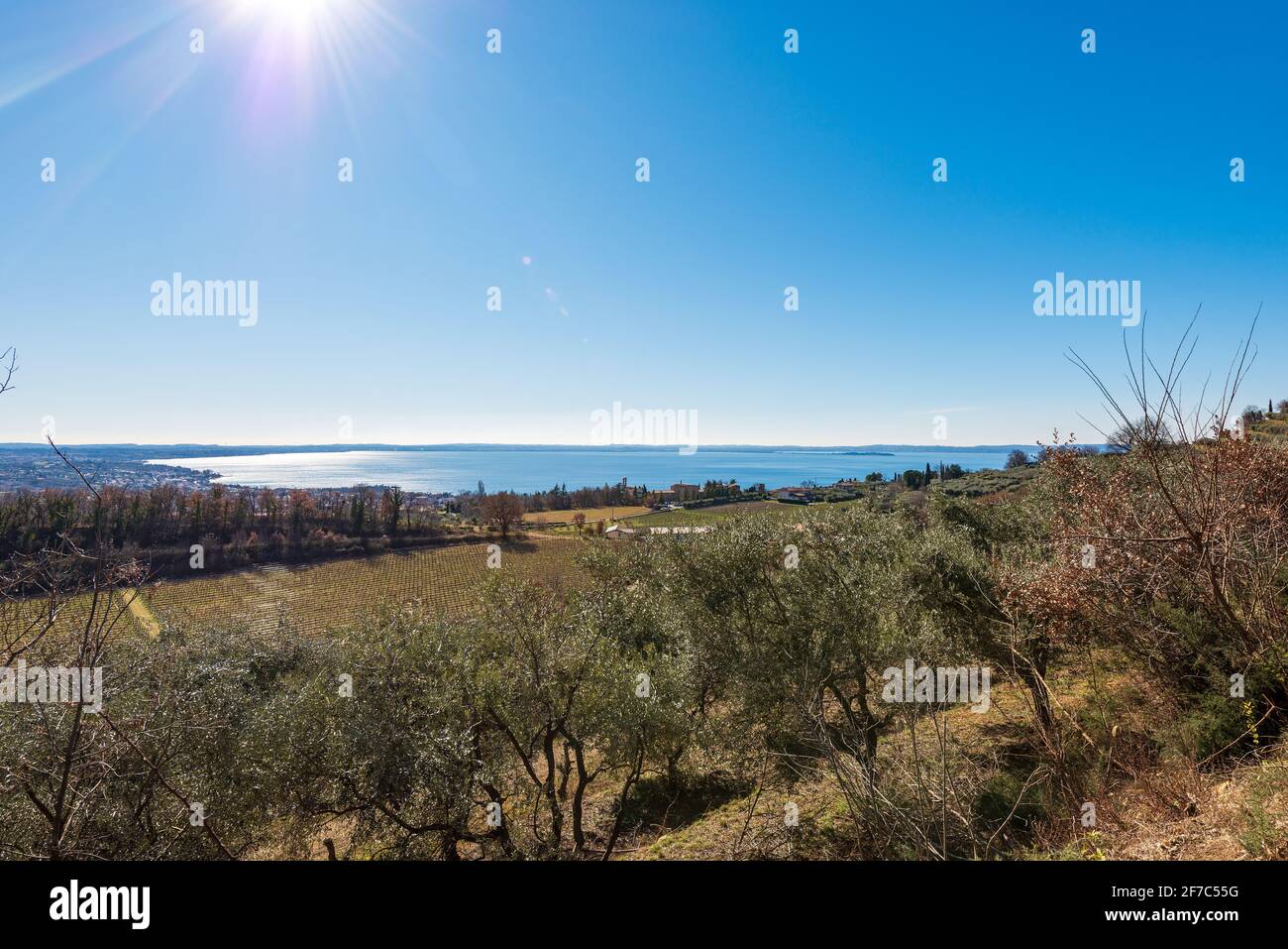 Terraced fields with vineyards and olive groves on the coastline of the ...